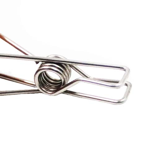 MUTBERG Stainless Steel Pegs 12PK 6x1.3cm– Maxrite